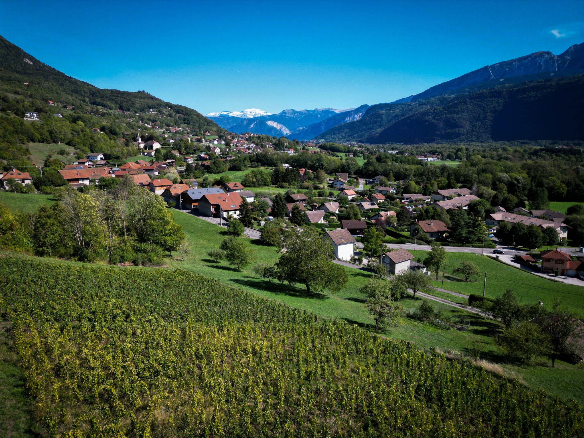 Ayze et son vin AOC - Vivre en Haute-Savoie