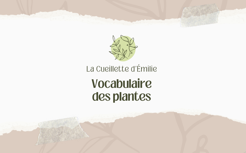 Lexique des plantes - Vivre en Haute-Savoie
