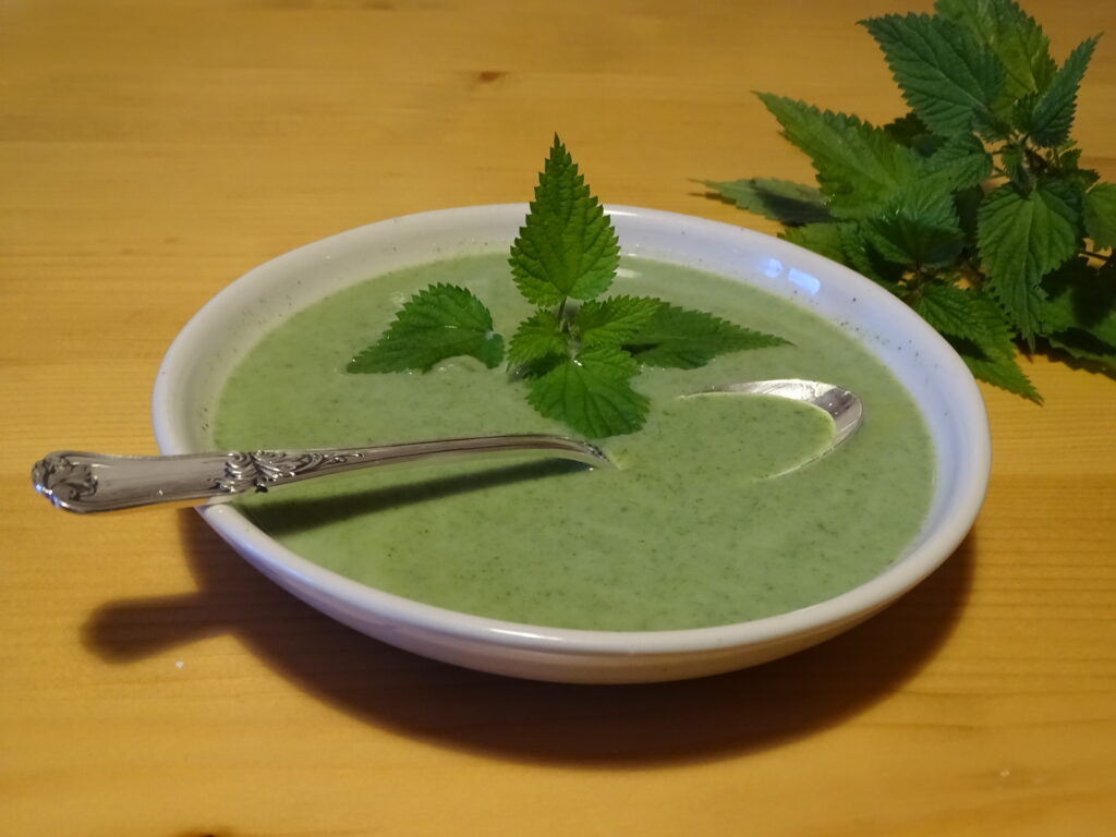 L'ortie - Vivre en Haute-Savoie