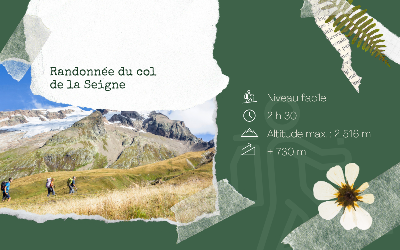 Randonnée au col de la Seigne