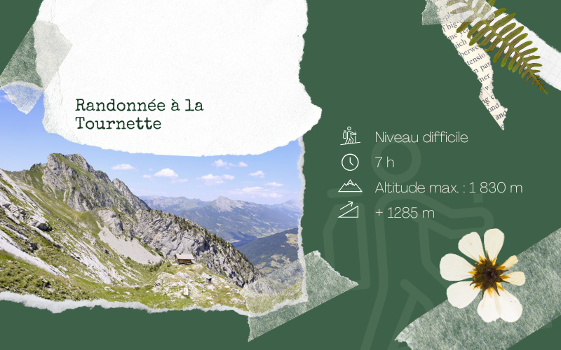 Randonnée à la Tournette - Tour de l'Aiguille de Serraval